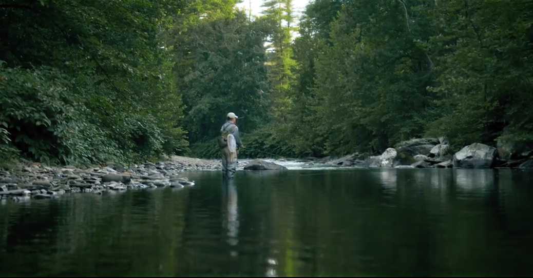 PA Environment Digest Blog: Theodore Roosevelt Conservation Partnership ...