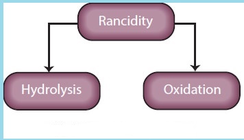 Rusty's Bio-zone: CHEMICAL REACTIONS AND EQUATIONS