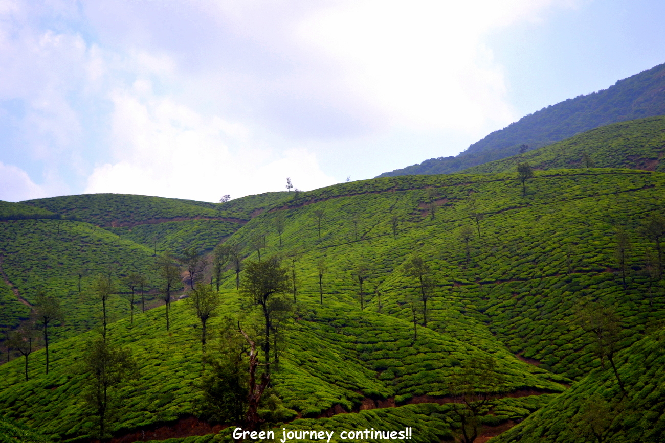 A Travel Blog from India: Valparai - Unexplored wonder!