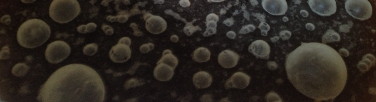 How to tell if your brew is infected by bacteria | How to Home Brew Beer