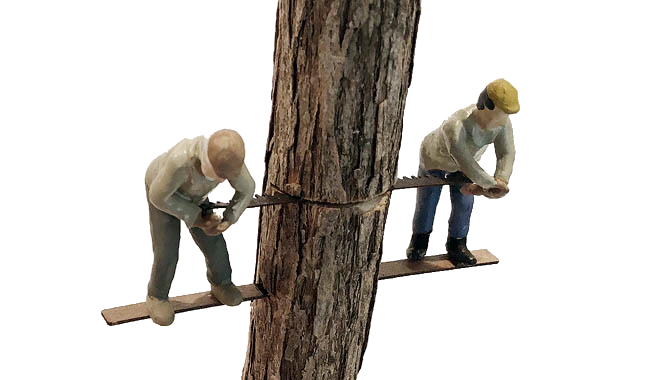 Modeling the Pickering/Madera/Sugarpine Lumber Co. Logging Railroads: 2021