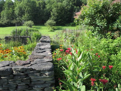Plants and Stones: Hidden In Our Untamed Garden