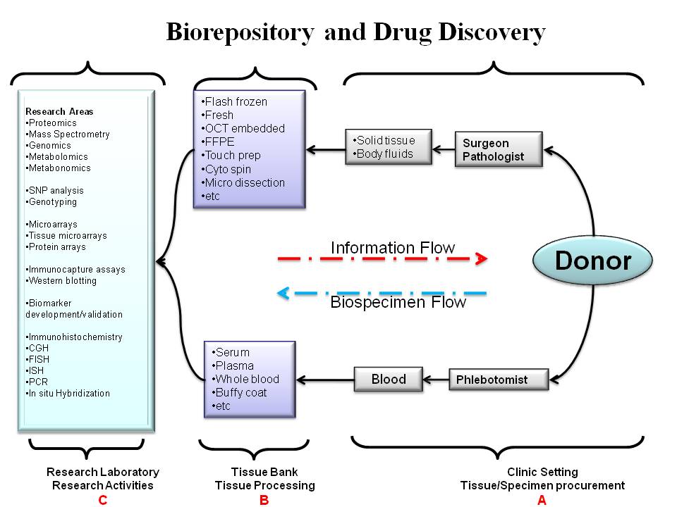Tissue Banking for Biomedical Research at Windber Research Institute ...