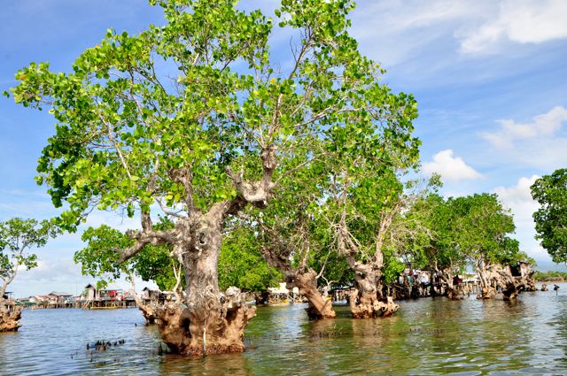 In Pinay's footsteps: THE ROAD TO LAYAG-LAYAG YELLOW BOAT VILLAGE