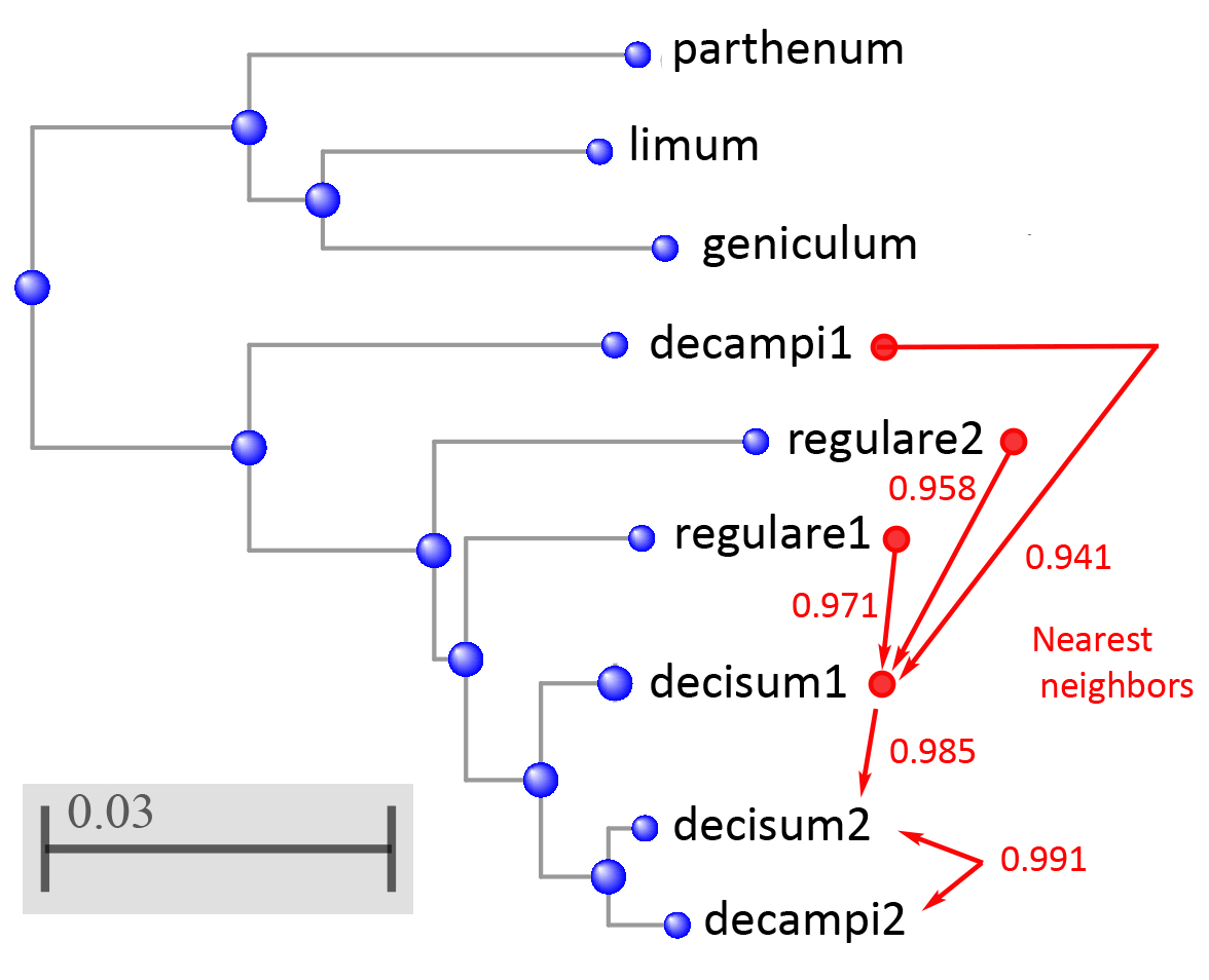 Freshwater Gastropods of North America: Fun with Campeloma!