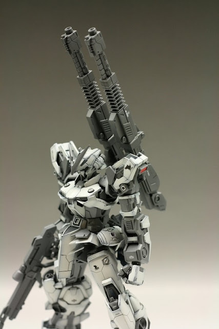 Build and Shoot: M1 ASTRAY [MODIFIED]: CUSTOM BUILD