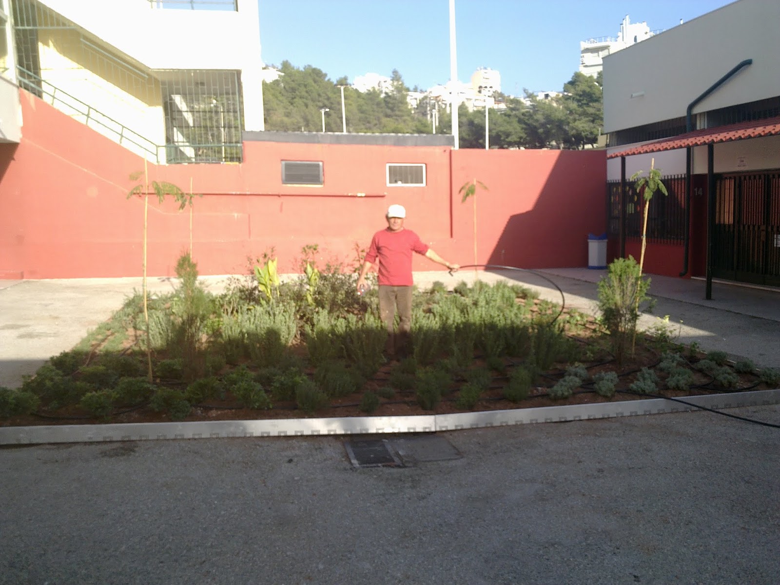 ΤΑΡΑΤΣΟΚΗΠΟΣ...Ο ΚΗΠΟΣ ΤΩΝ ΠΟΛΕΩΝ: Η νομοθεσία για τα φυτεμενα δωματα ...