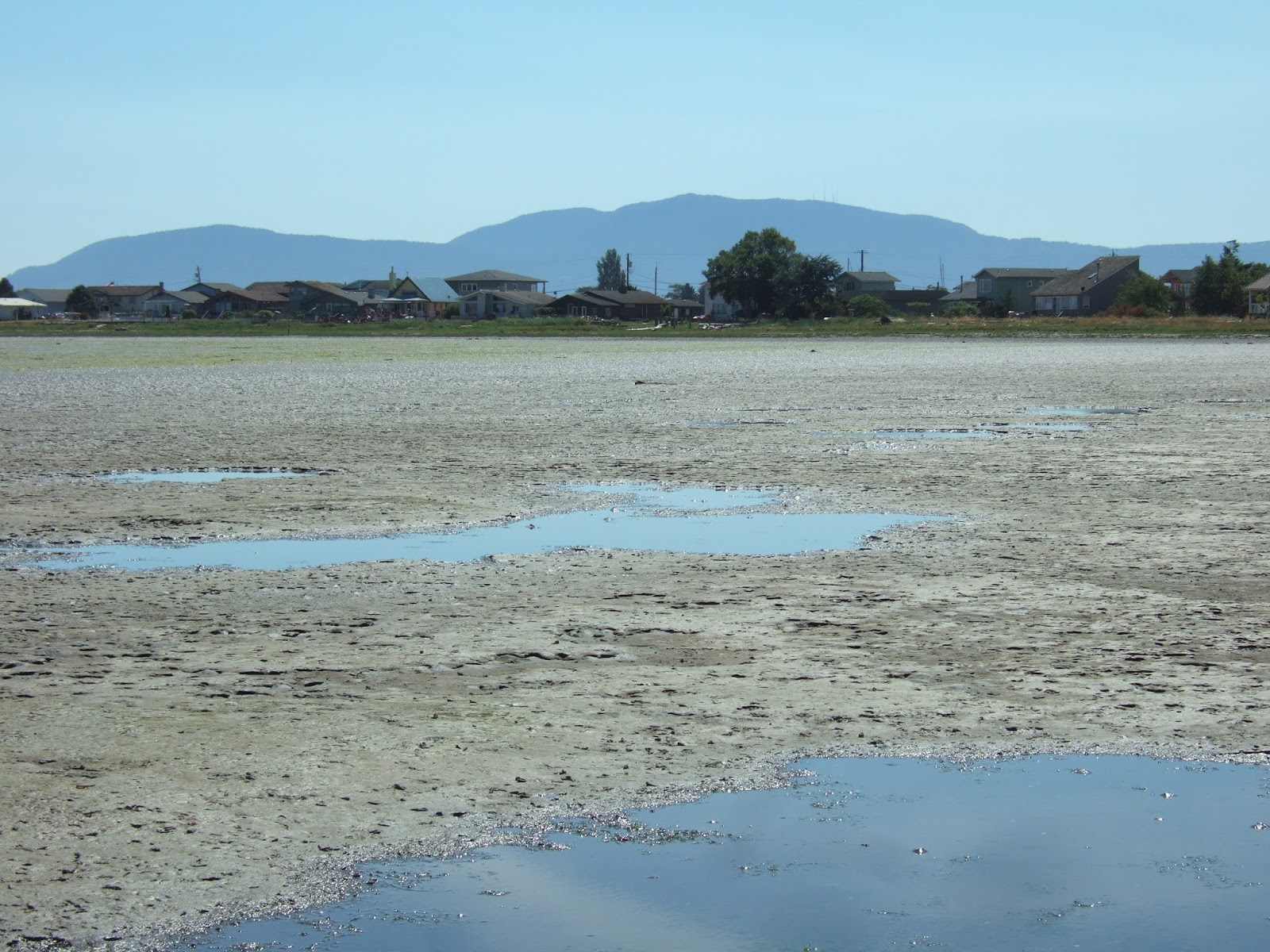 Reading the Washington Landscape: Lummi Tidelands
