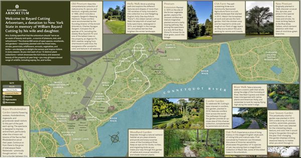 A GUIDE TO NORTHEASTERN GARDENING: Bayard Cutting Arboretum New York ...