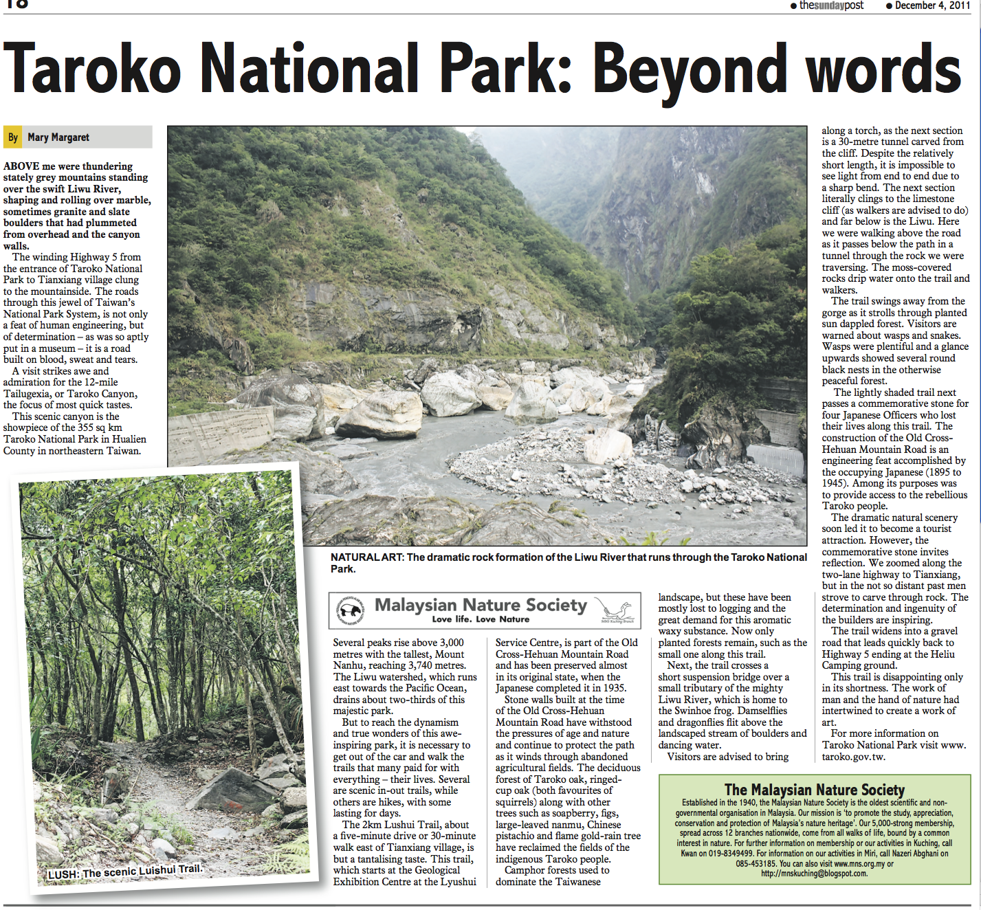 Malaysian Nature Society Kuching Branch: click to enlarge newspaper page