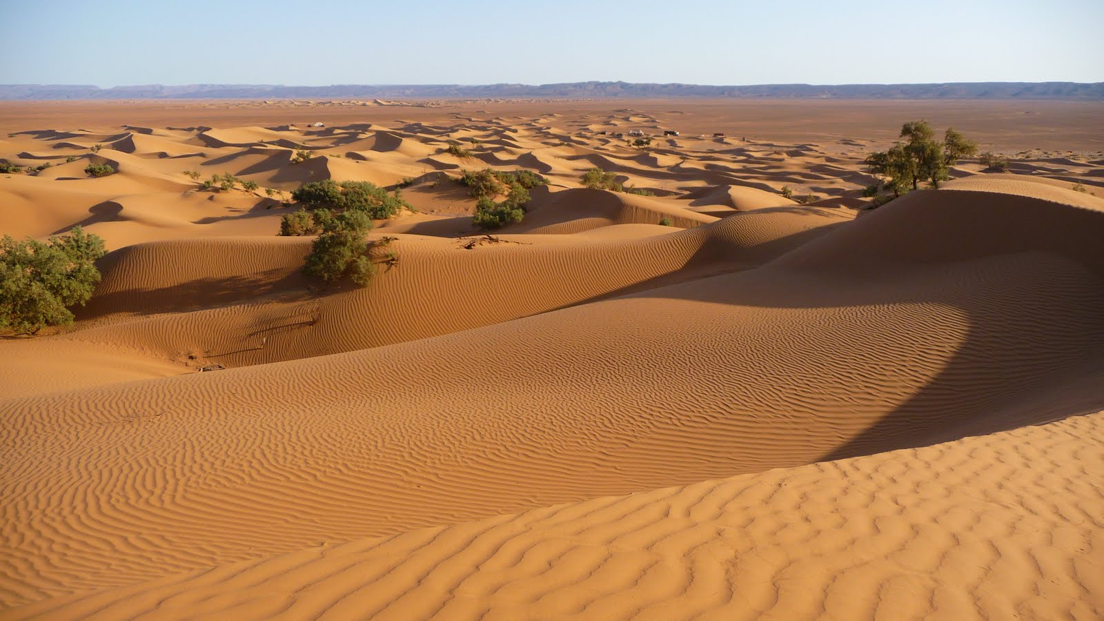 viaje a peru: DUNAS DE ERG CHIGAGA,SAHARA