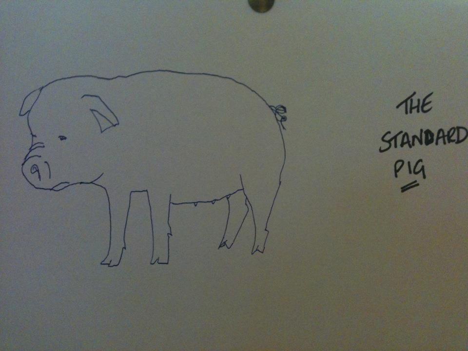Between These Four Walls: Introducing..... The Standard Pig!