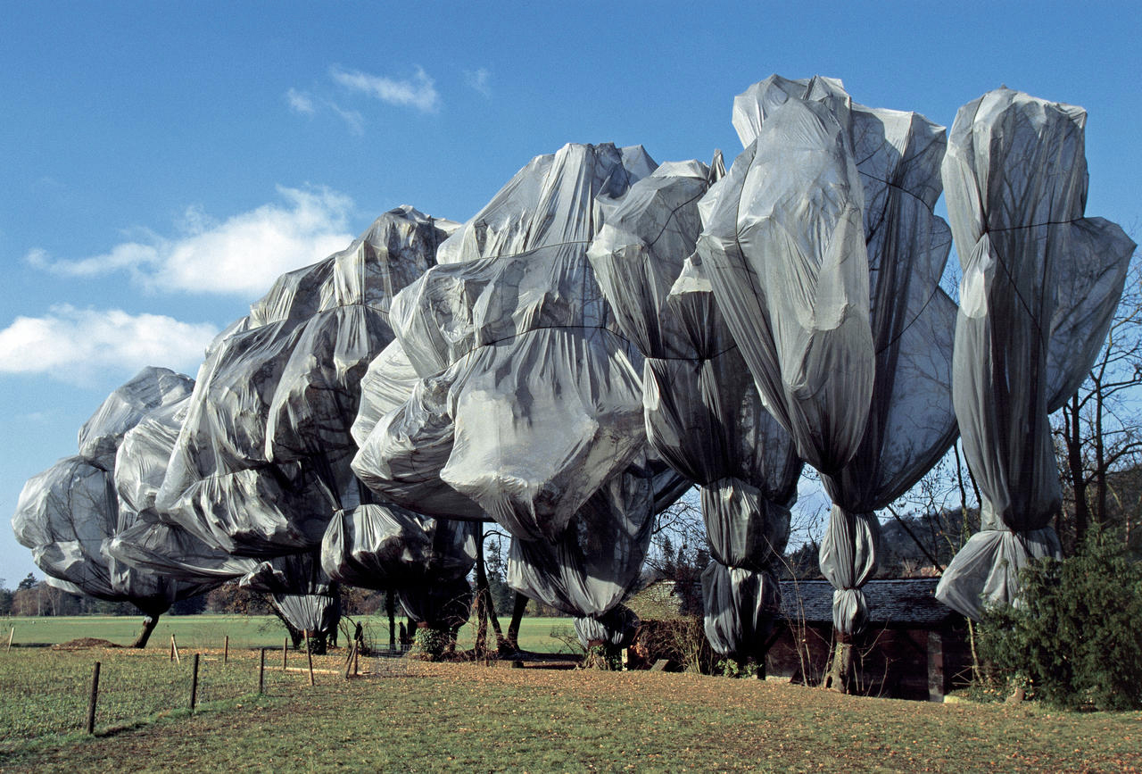 KAFKAsFRIEND Creative Arts Today 1: Research point - Wrapped trees