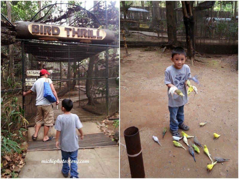 Michi Photostory: Revisited Zoobic Safari