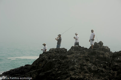 Eco-lodge Punta Patillos