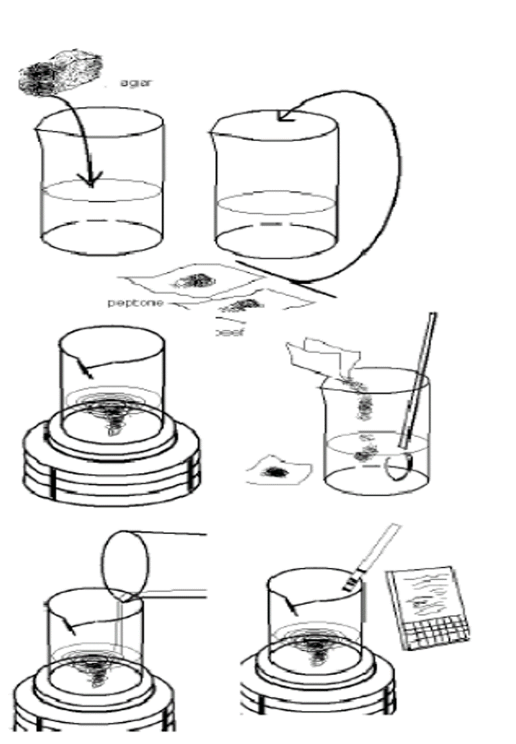 Cara Membuat Media Pertumbuhan Nutrient Agar dan Potato Dextrose Agar