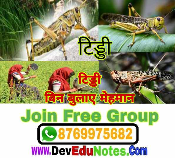 टिड्डी हमलें, नियंत्रण एवं उपाय