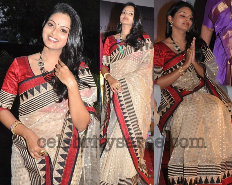 Tamil Actress in Designer Kota Saree - Saree Blouse Patterns