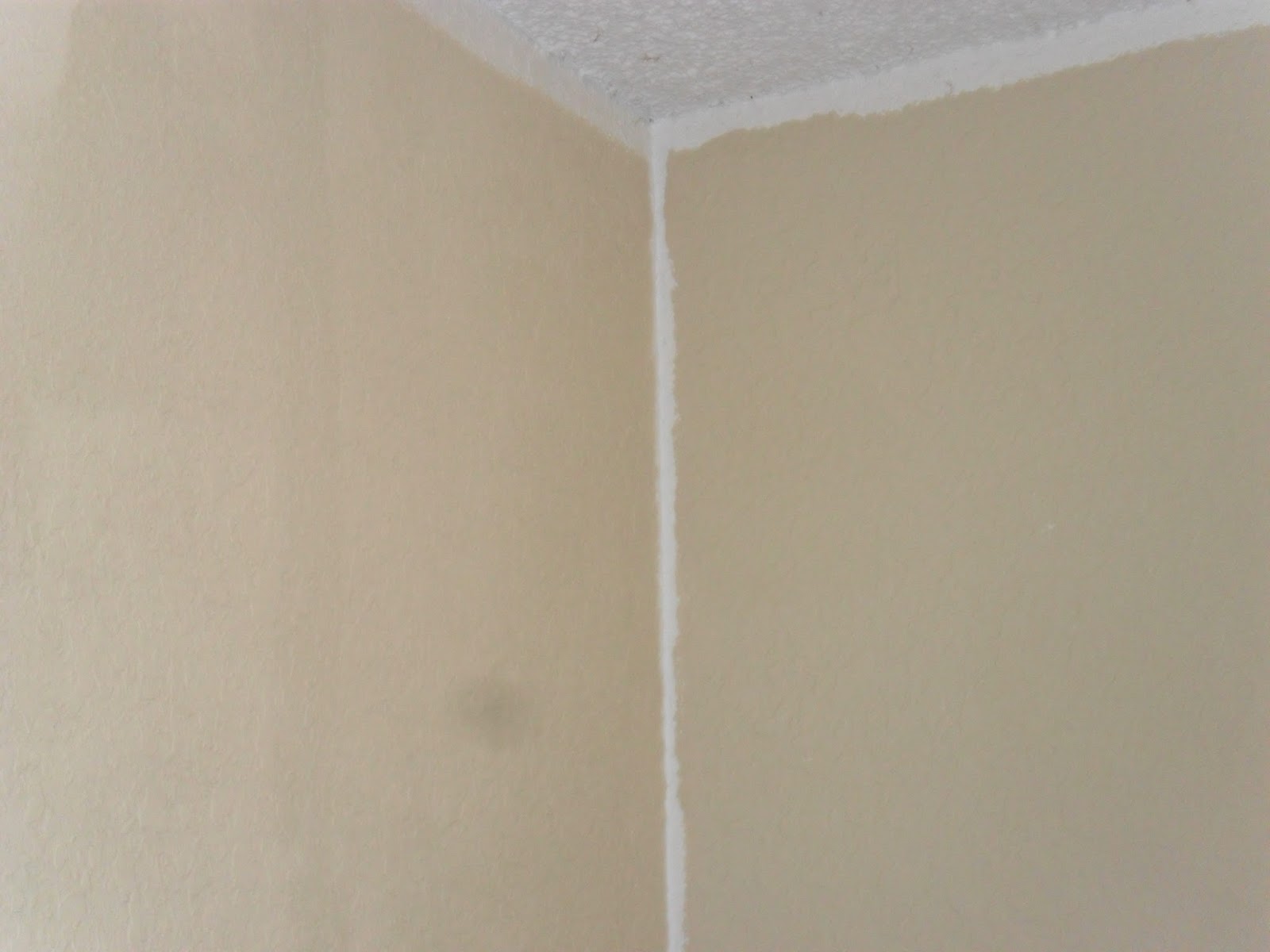 Life of a mad typer: Dress your walls safely and naturally green with ...