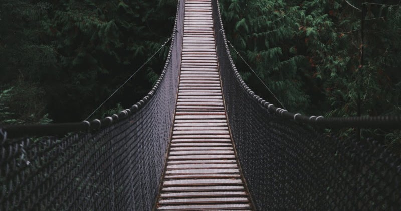 Vibrating Bridge | Veevo Foundation