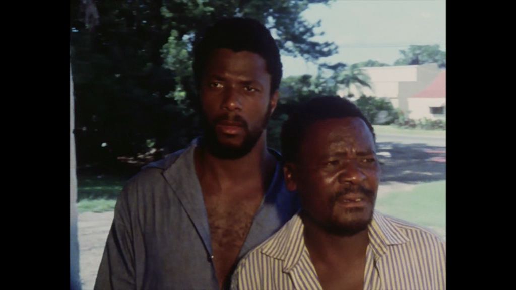 The Department of Afro American Research, Arts and Culture