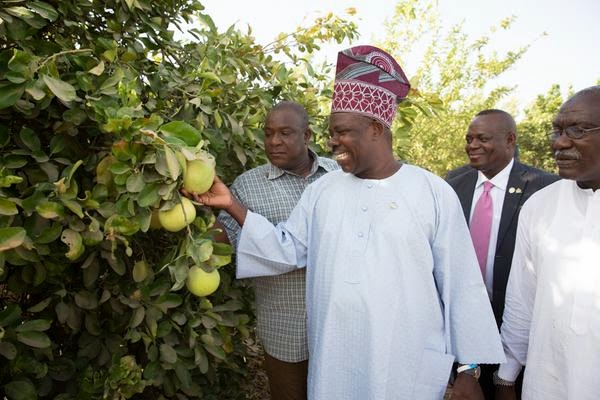 Photos of president-elect Buhari at his farm in Daura this morning
