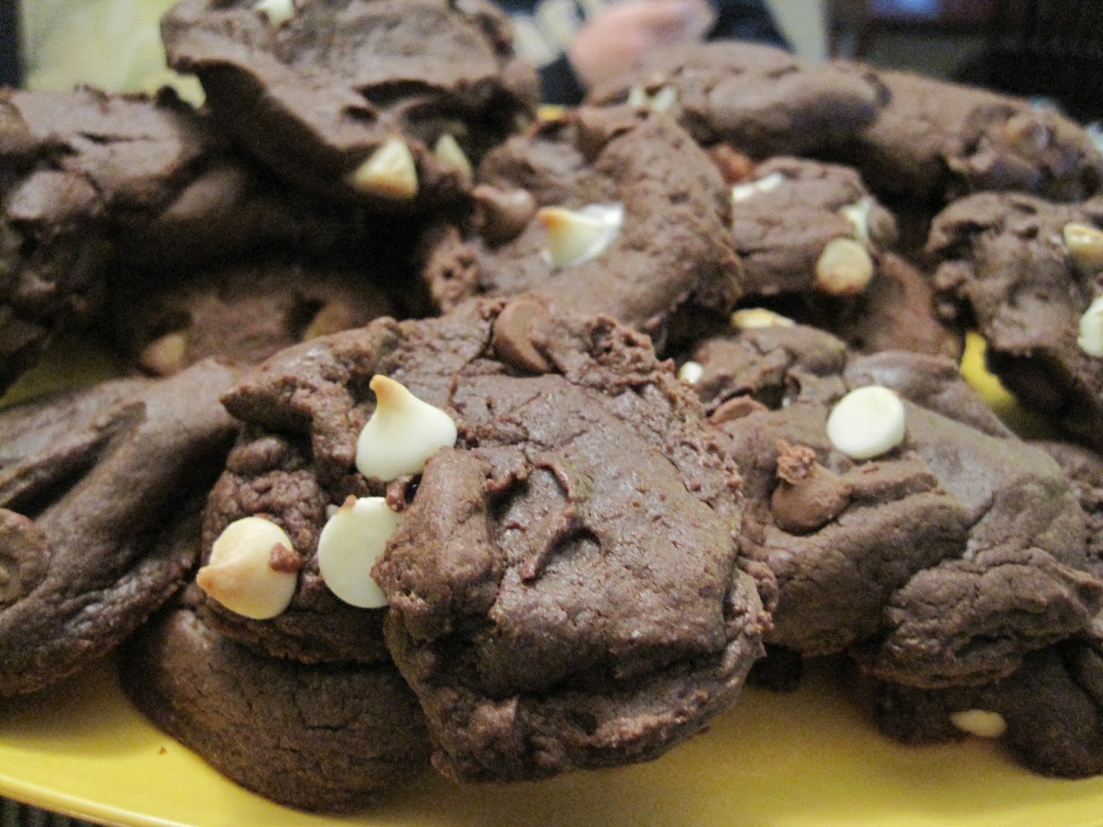 Our Life in the Four Seasons