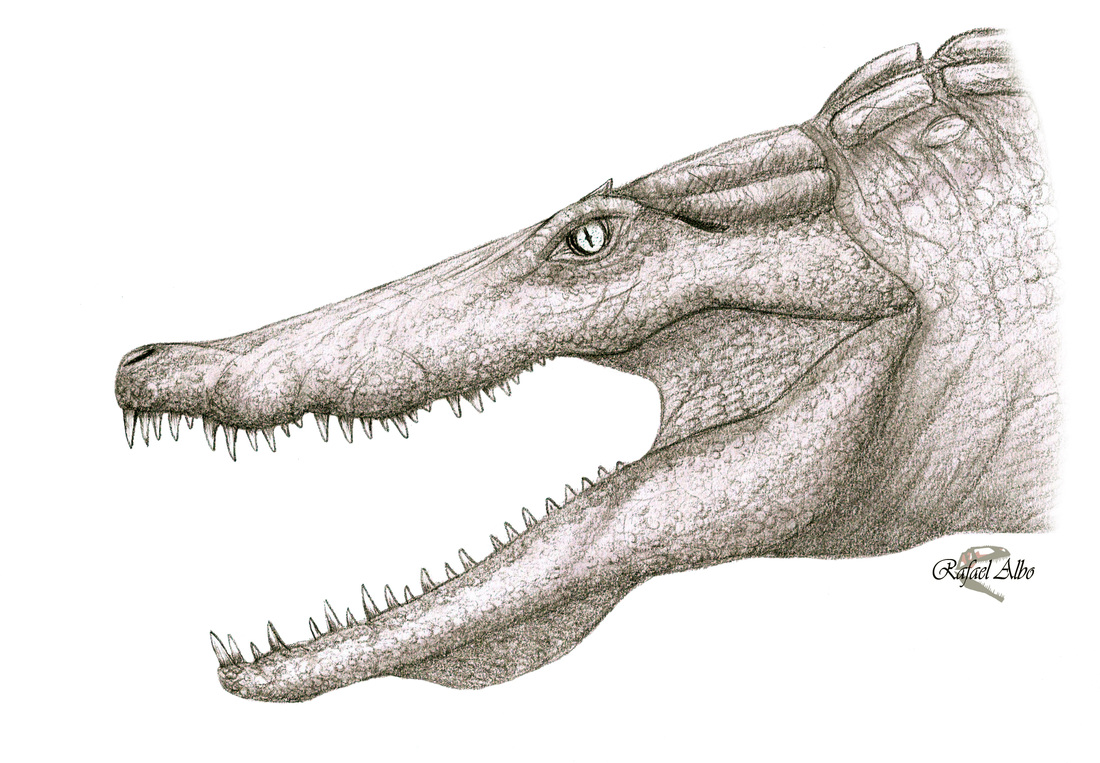 'Pepesuchus' - Brazilian PaleoArt