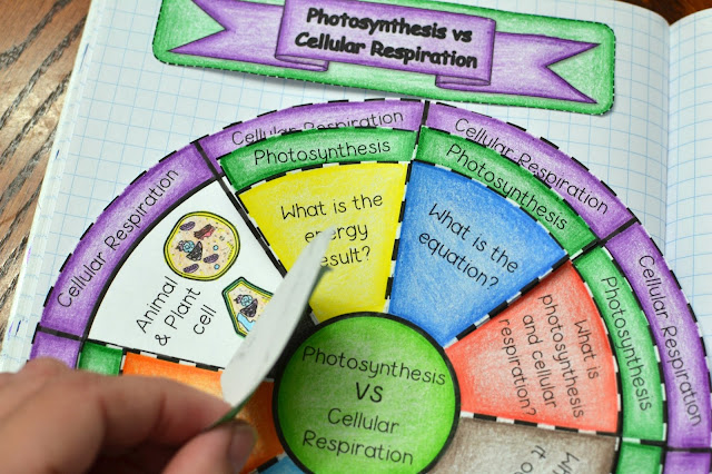 Math in Demand: Photosynthesis vs Cellular Respiration Wheel Foldable