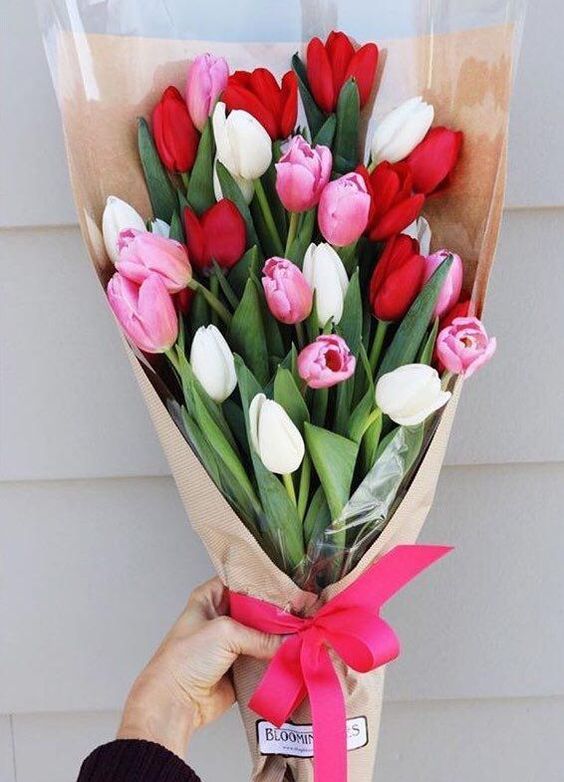 PLAAN : La Belleza Inigualable de los Tulipanes - Cada color 1 significado