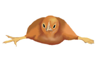 peet chicken: Chick Health: Is It Splay / Spraddle Leg, Or Something More?