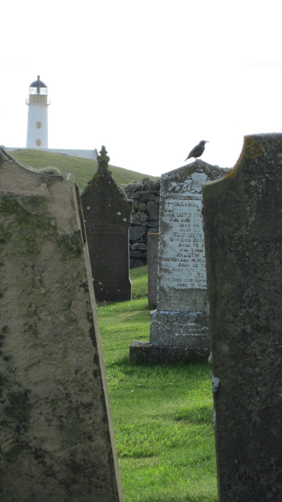 Sophia Goes to Norway: Shetlands Islands, Fair Isle, and Orkney Islands