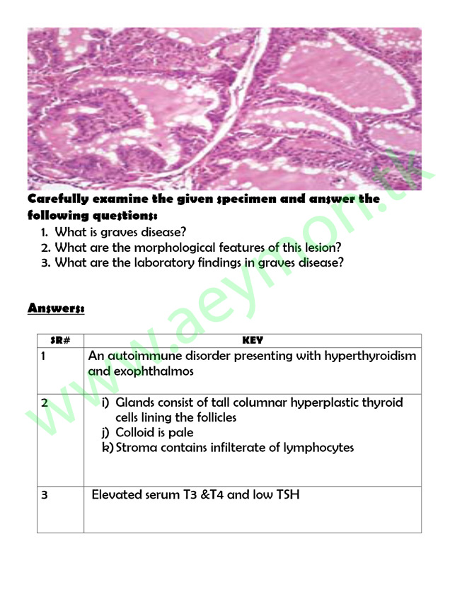 My Health Profession: Special Pathology OSPE Set 3
