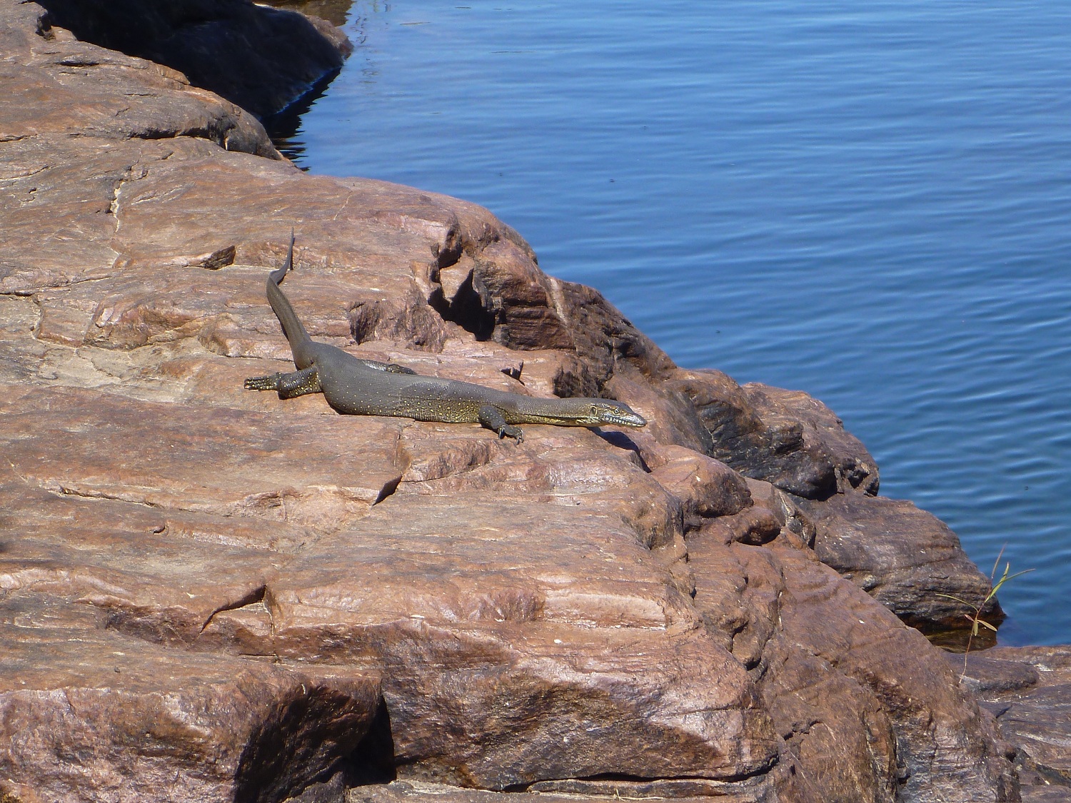 Steve and Dee's Australian tour: Manning Gorge.