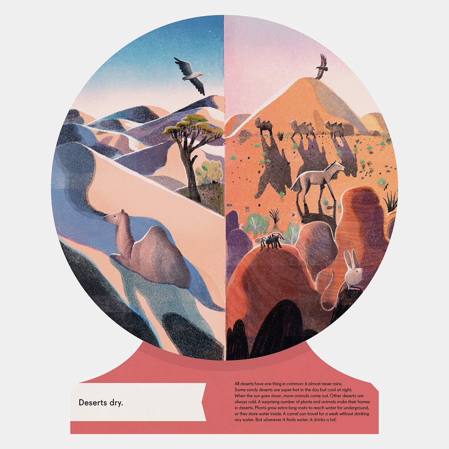 Illustrator Spotlight: Lisk Feng