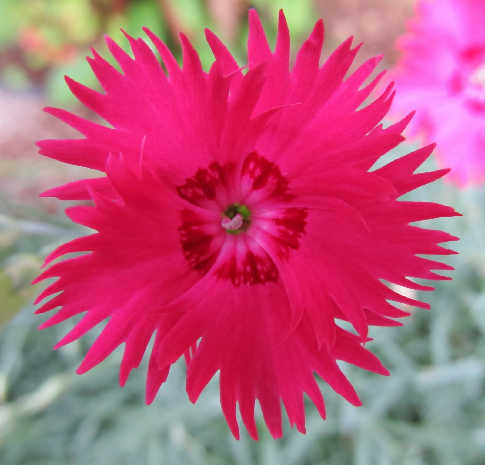 Flowercents: August 2011