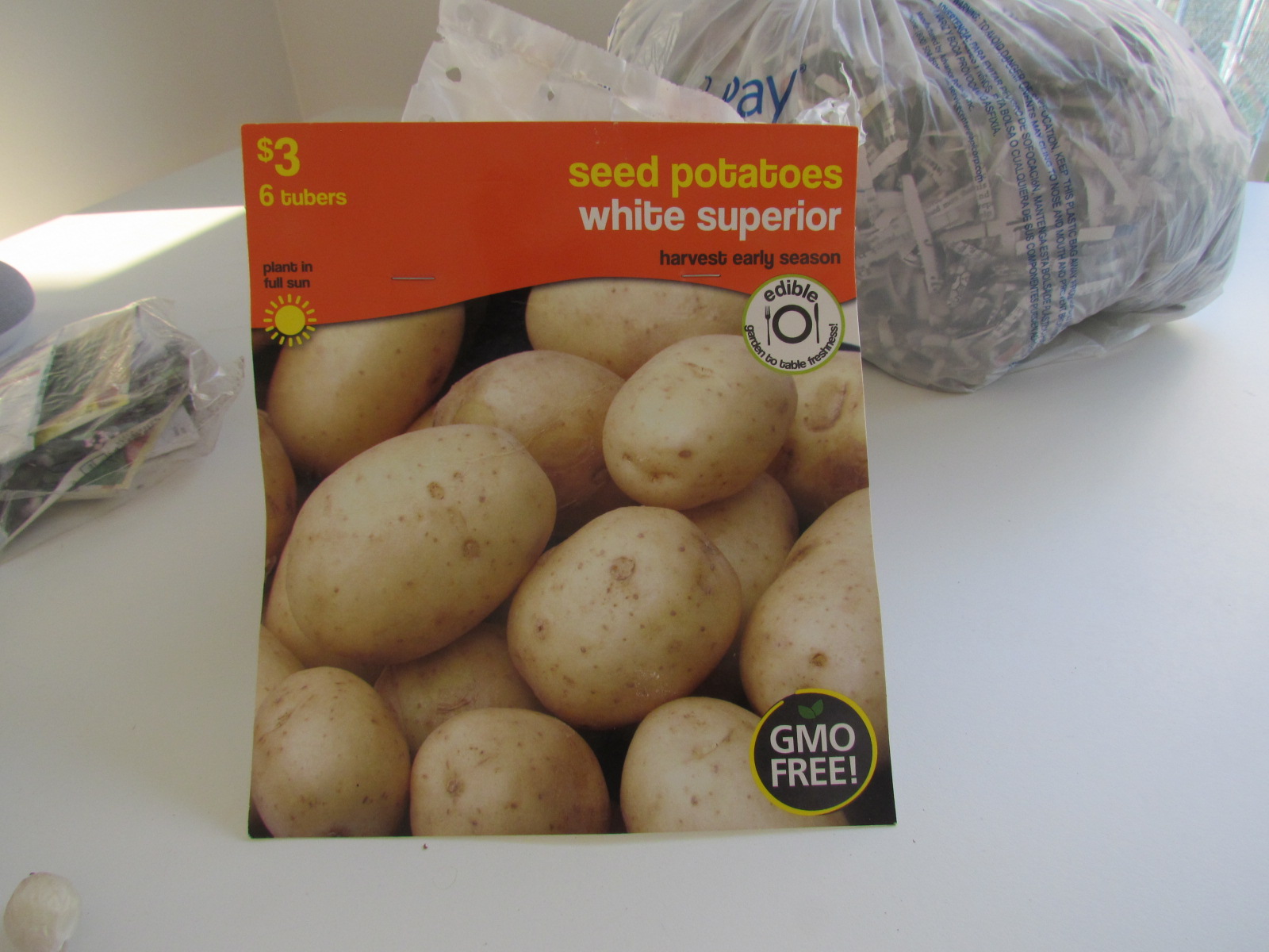 Melody Johnson: Pre-Sprouting Seeds