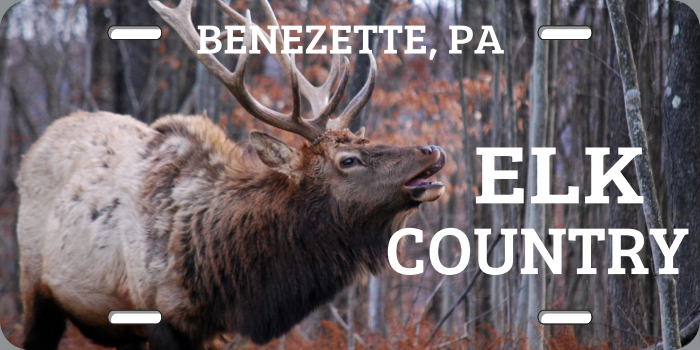 PA Elk Country: Elk License Plates