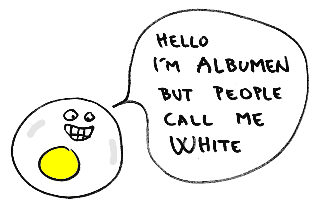 Solar Sharing - Solar panels, chickens and goats in Tsukuba, Japan ...