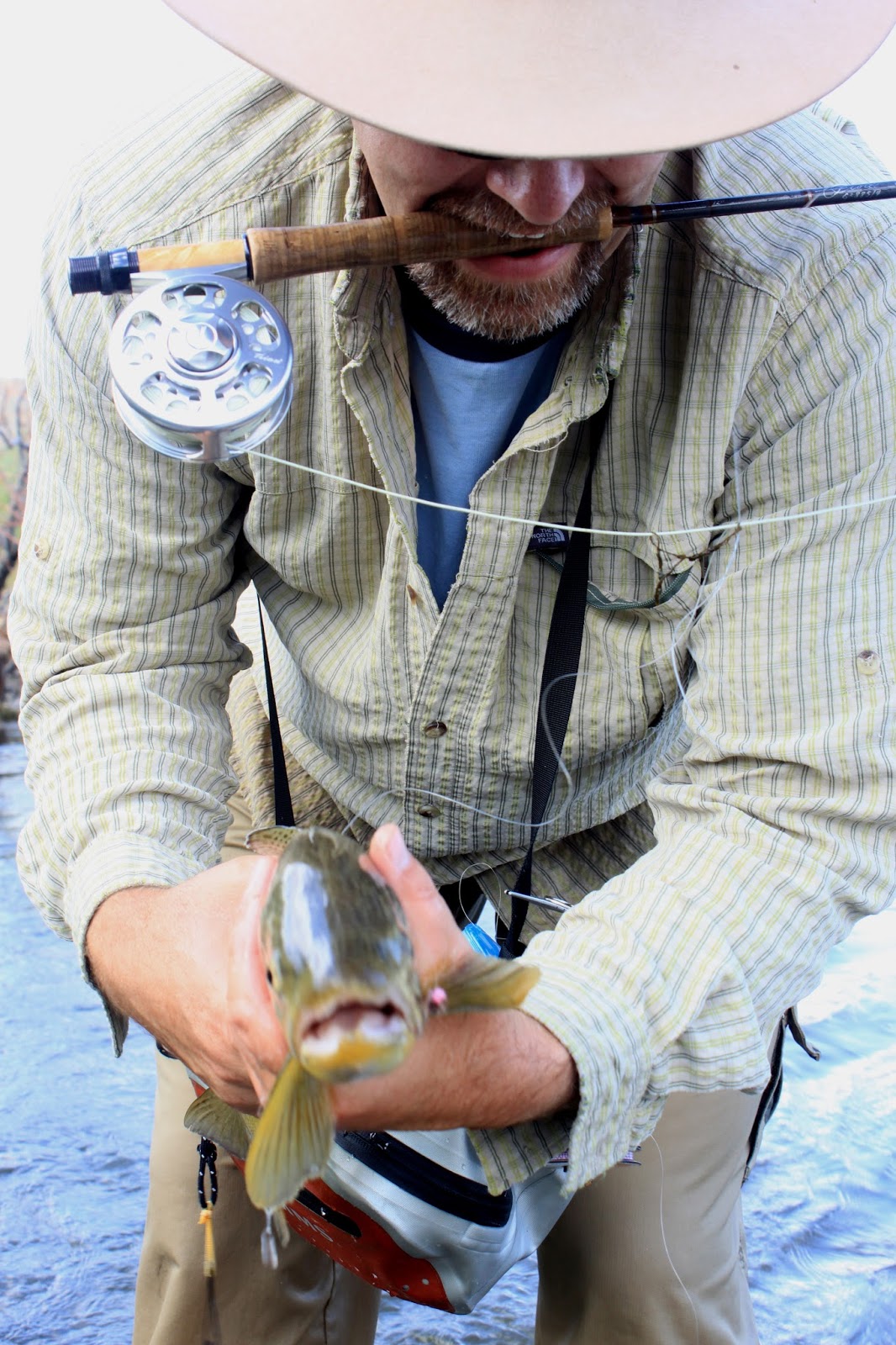 River Tales: Holy Water