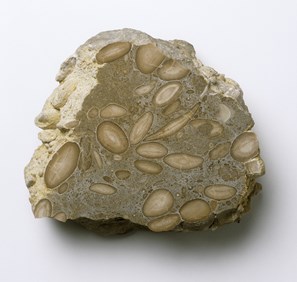 Karakteristik Jenis-Jenis Batuan - Geograph88