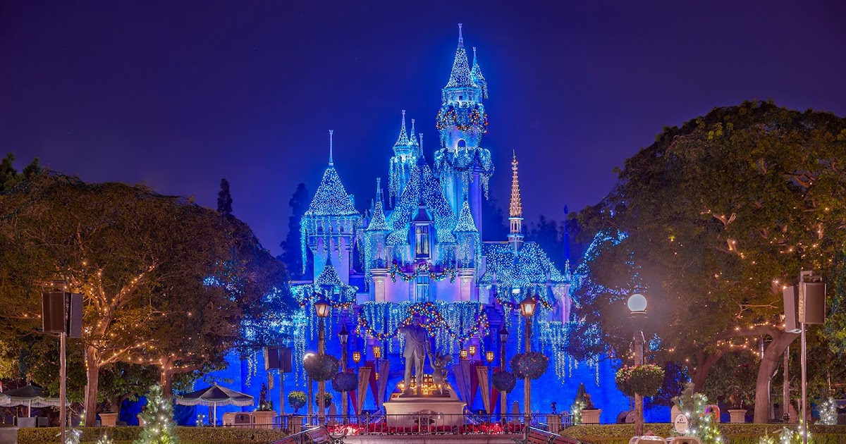 Disney Photoblography