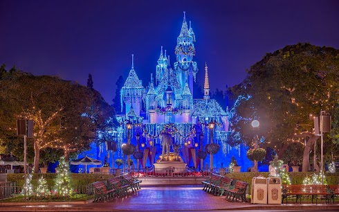 Disney Photoblography