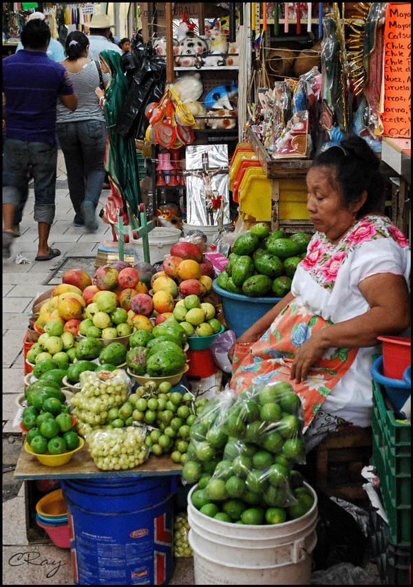 Our Adventures House Sitting: A Trip to the Market