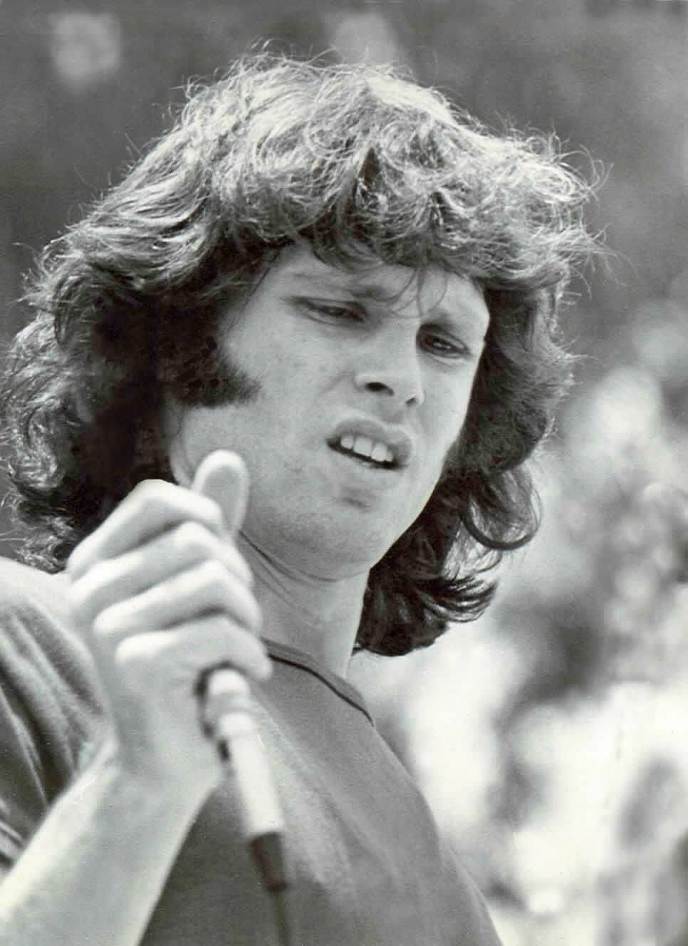 Tira me a las Arañas.: Homenaje a Jim Morrison en la Cuidad de México