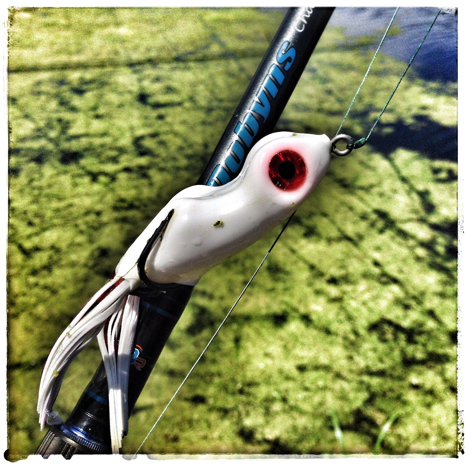 Bass Junkies Frog Pond: Scum Frog Trophy Series Frog Review