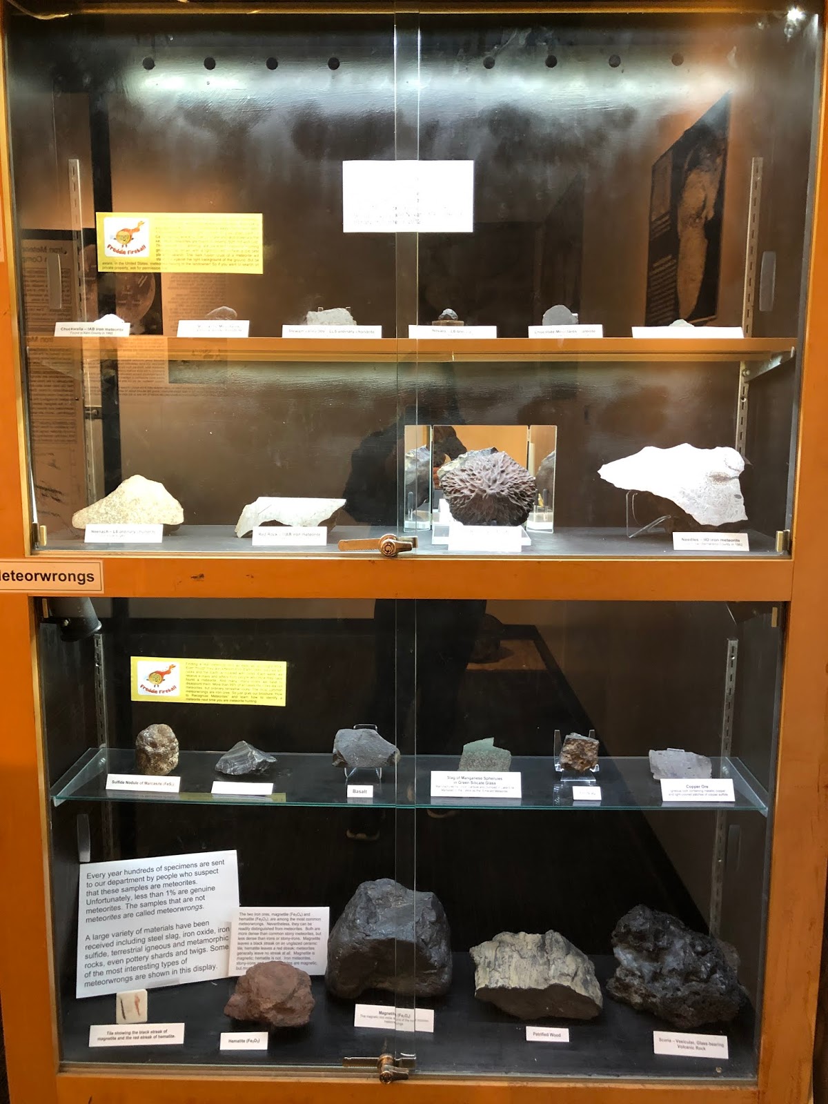 Event 2: Meteorite Gallery