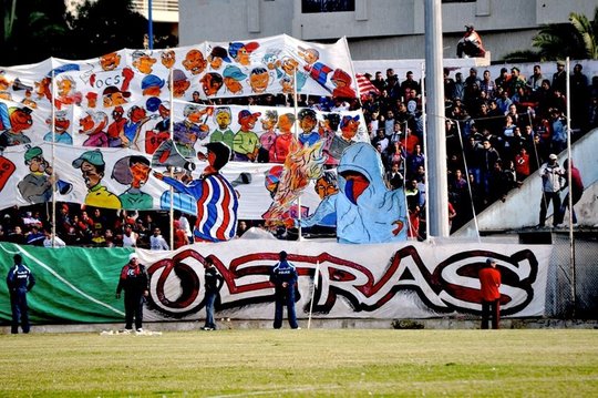 FEDAYN FAVAC 1993: OCS Safi: 5 Jahre ULTRA SHARKS