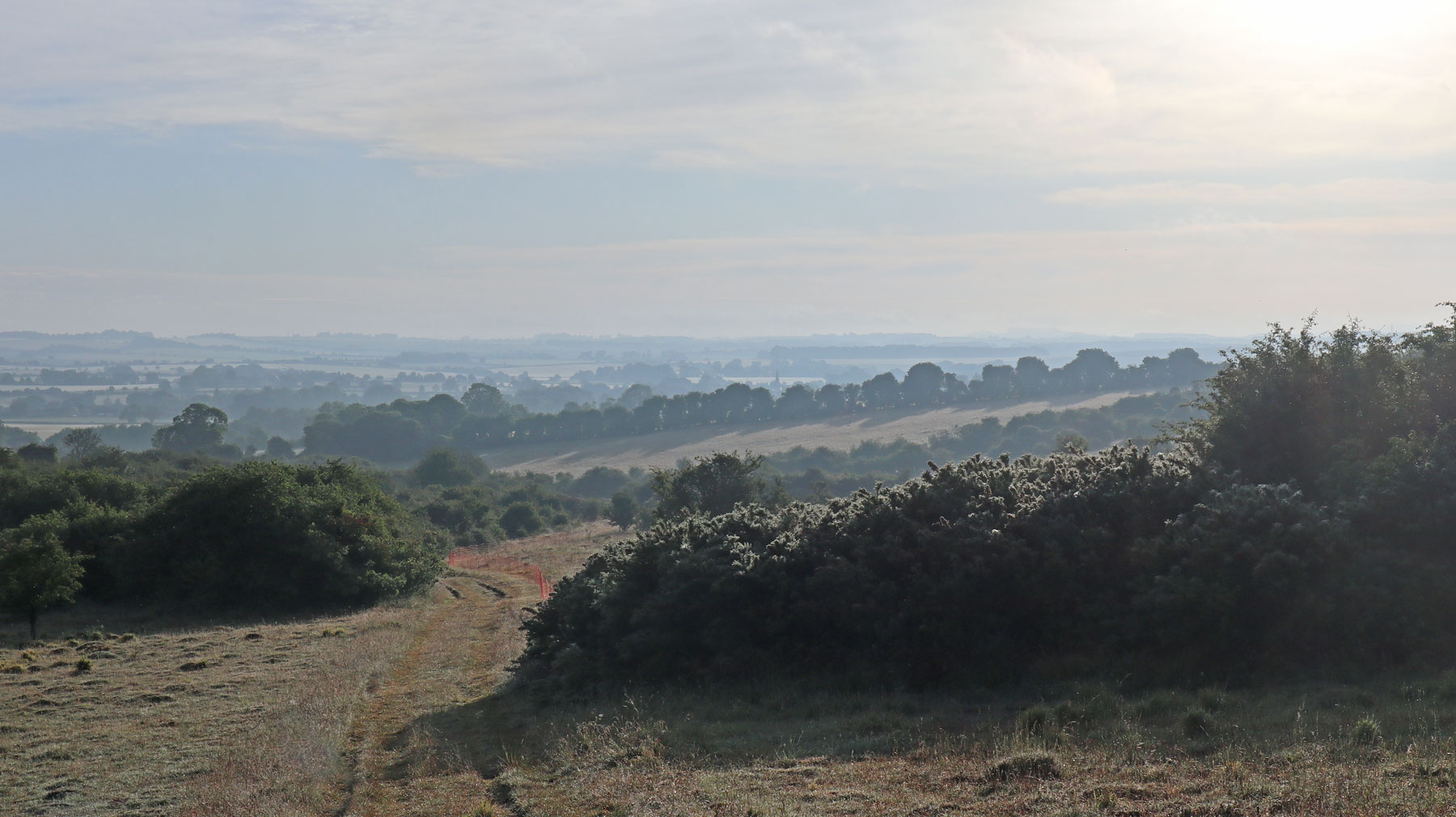 Away From Four Marks: 13th June - Martin Down NNR & Shatterford ...