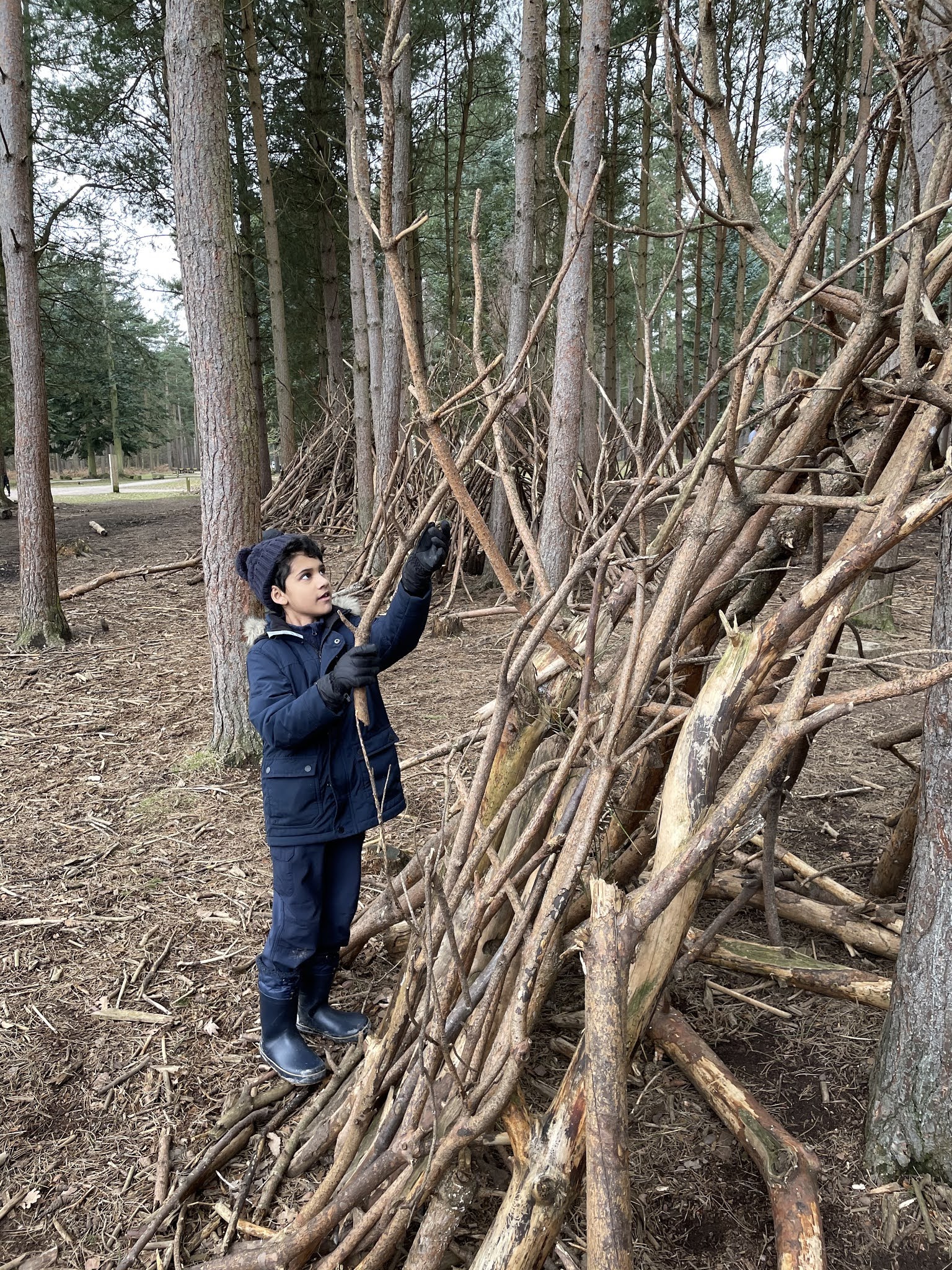 Den Building By Shaan & Roshan